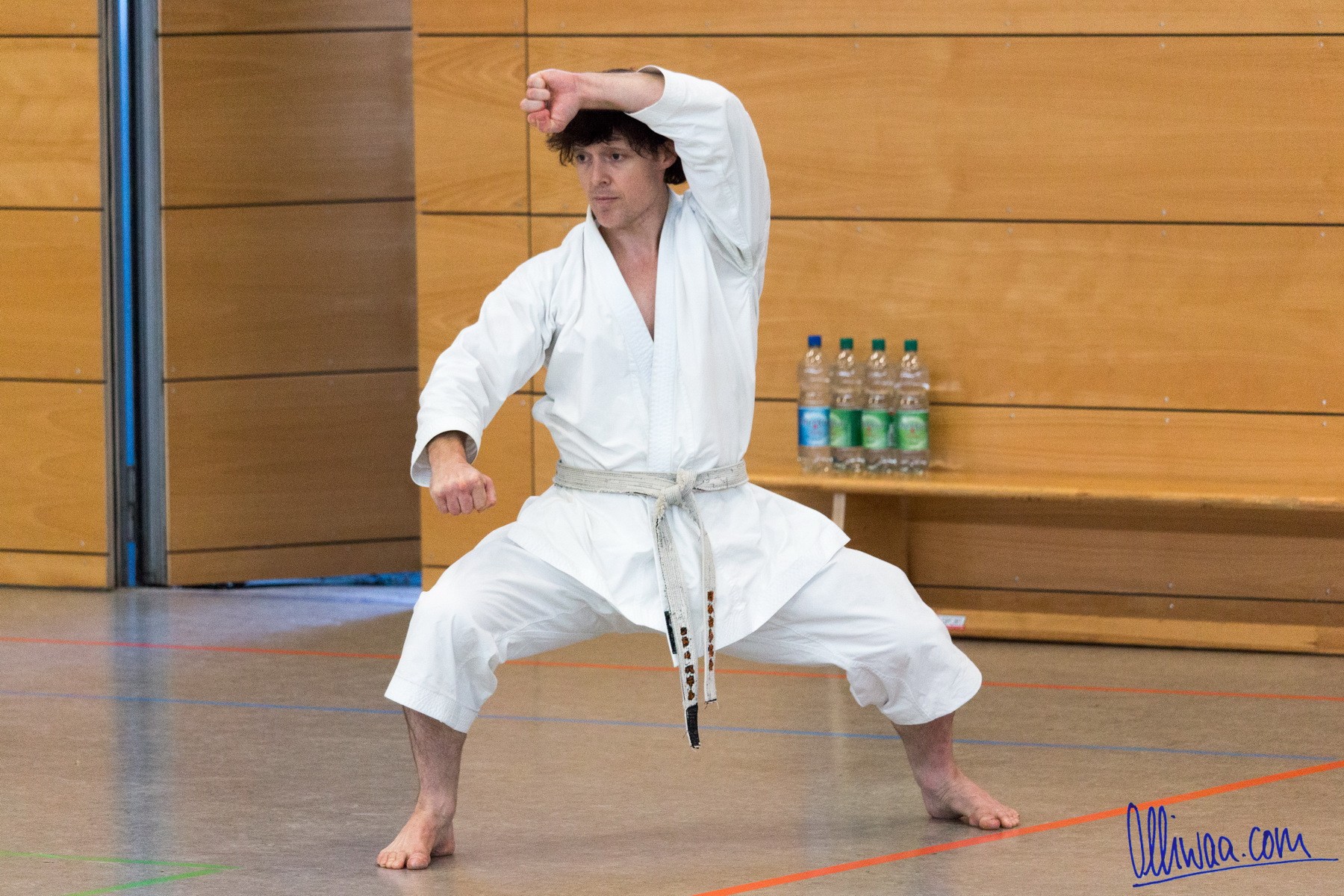 We just can't get enough... - Olliwaa.com