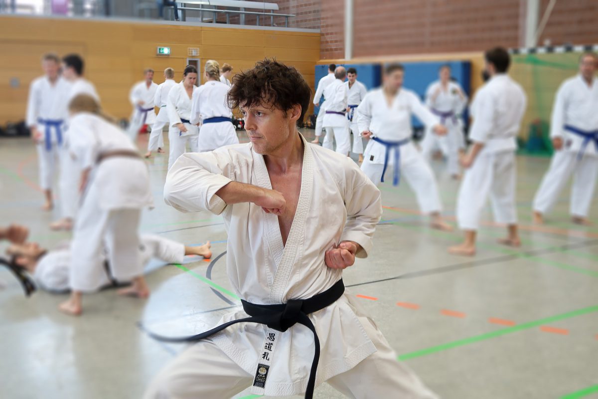 André Bertel - The Karate Giant - Olliwaa.com